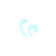 Neuron Forest | Rain World Wiki Rus | Fandom