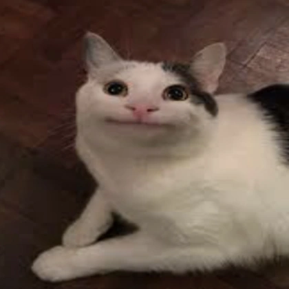 Other Upgrades | Raise a Bloppa Roblox Wiki | Fandom