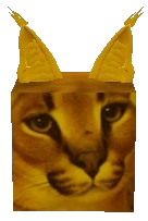 Midas Floppa (Raise a Floppa 2) | The Raise a Floppa Wiki | Fandom