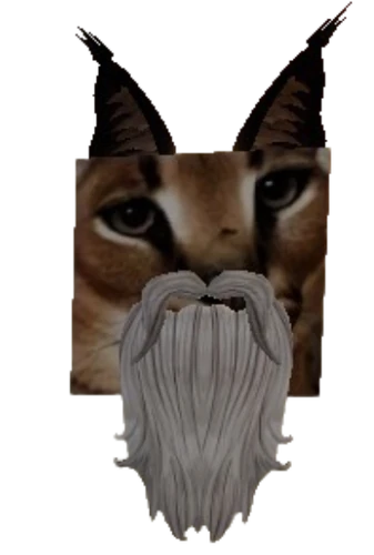 Elder Floppa (Raise a Floppa 2) | The Raise a Floppa Wiki | Fandom