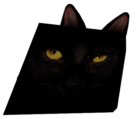 Gyakko | The Raise a Floppa Wiki | Fandom