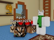 Floppa Skins (Raise a Floppa 2) | The Raise a Floppa Wiki | Fandom