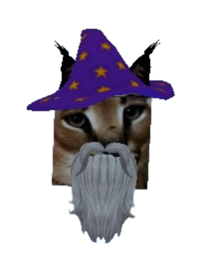 Floppa Mage Raise A Floppa 2 The Raise A Floppa Wiki Fandom