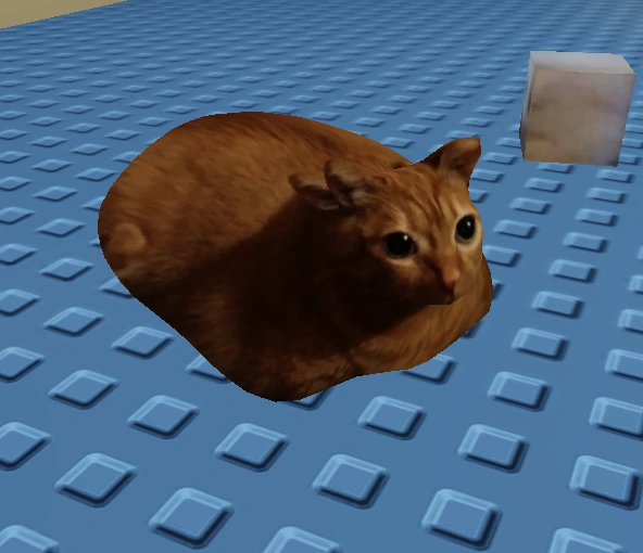 Potato The Cat (Raise a Floppa 2) | The Raise a Floppa Wiki | Fandom