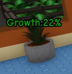 Catnip Plants | The Raise a Floppa Wiki | Fandom