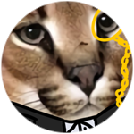 Floppa Skins (Raise a Floppa 2) | The Raise a Floppa Wiki | Fandom