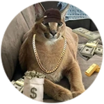 Floppa/Gallery | The Raise a Floppa Wiki | Fandom