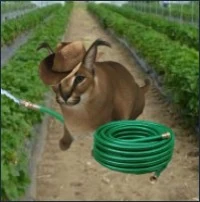 Catnip Farmer | The Raise a Floppa Wiki | Fandom