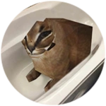 Floppa/Gallery | The Raise a Floppa Wiki | Fandom