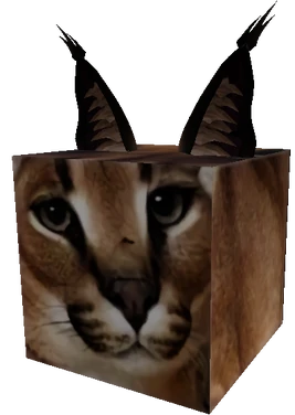 Floppa | The Raise a Floppa Wiki | Fandom