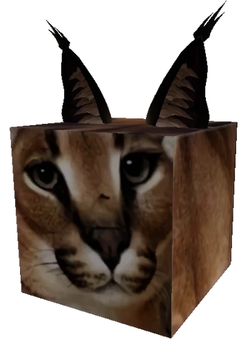 Floppa | The Raise a Floppa Wiki | Fandom