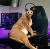 Gaming Rig (Raise a Floppa 2) | The Raise a Floppa Wiki | Fandom