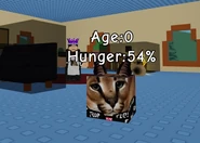 Floppa Skins (Raise a Floppa 2) | The Raise a Floppa Wiki | Fandom