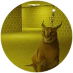 Floppa/Gallery | The Raise a Floppa Wiki | Fandom