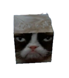 Grumpy Cat (Raise a Floppa 2) | The Raise a Floppa Wiki | Fandom