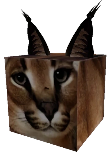 Floppa (Personaje) | Wiki Raise a floppa | Fandom