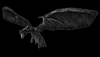 Black Dragon | Rakion Wiki | Fandom