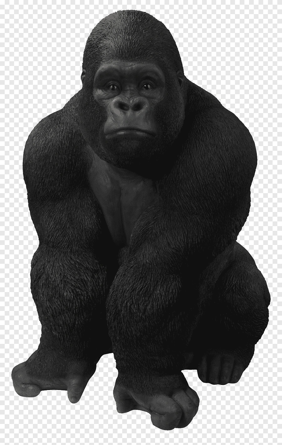 Monkenator | Raldi's Crackhouse Wiki | Fandom