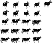 Polish Cow | Raldi's Crackhouse Wiki | Fandom