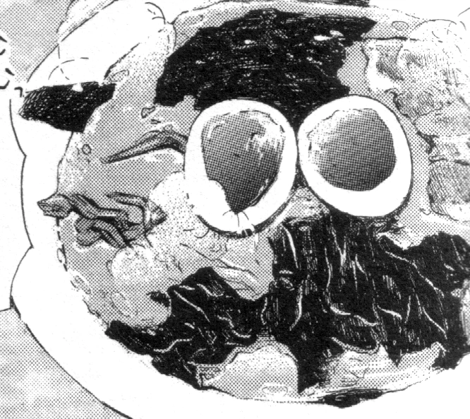 Cocoa | Ramen Daisuki Koizumi-san Wiki | Fandom