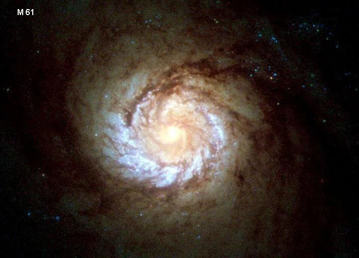 Messier 61 | Ramesh Singh Wiki | Fandom