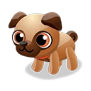 Pug | Ranch Run Wiki | Fandom