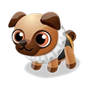 Puggy | Ranch Run Wiki | Fandom