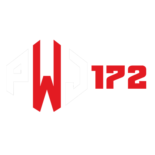 PWJ 172: Tozawa vs. Ibushi | Rapid City Wiki | Fandom