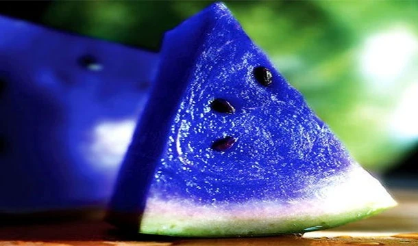 Blue Watermelon Moonmelon