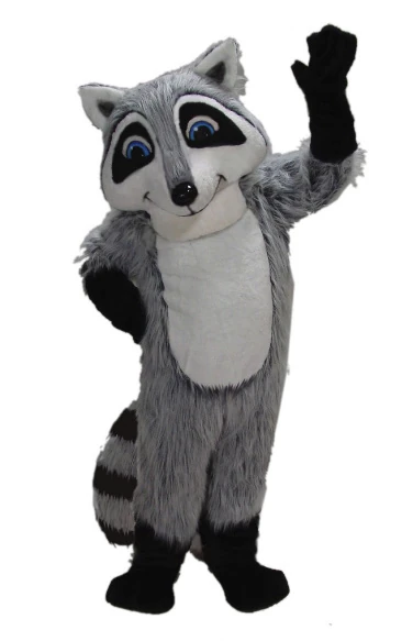 Raccoon | Randy's Wildhouse Wiki | Fandom