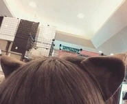 Captainhowdie | Ranfren wiki | Fandom