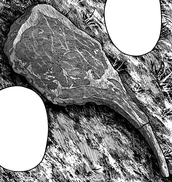 Chop | Ranger Reject Wiki | Fandom