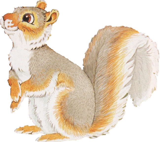 Sammy Squirrel | Ranger Rick Wiki | Fandom