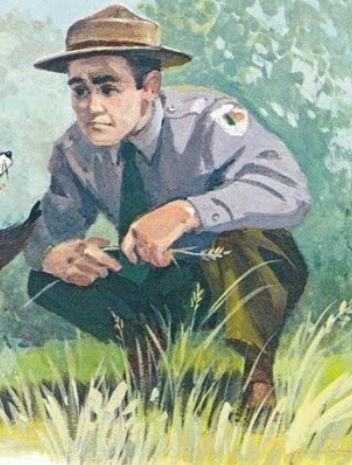 Ranger Tom | Ranger Rick Wiki | Fandom