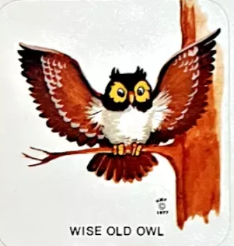 Wise Old Owl | Ranger Rick Wiki | Fandom