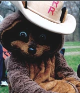 Ranger Rick Raccoon/gallery | Ranger Rick Wiki | Fandom