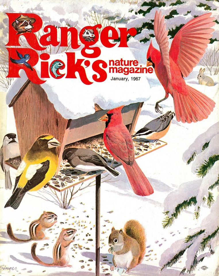 Category:1973 | Ranger Rick Wiki | Fandom