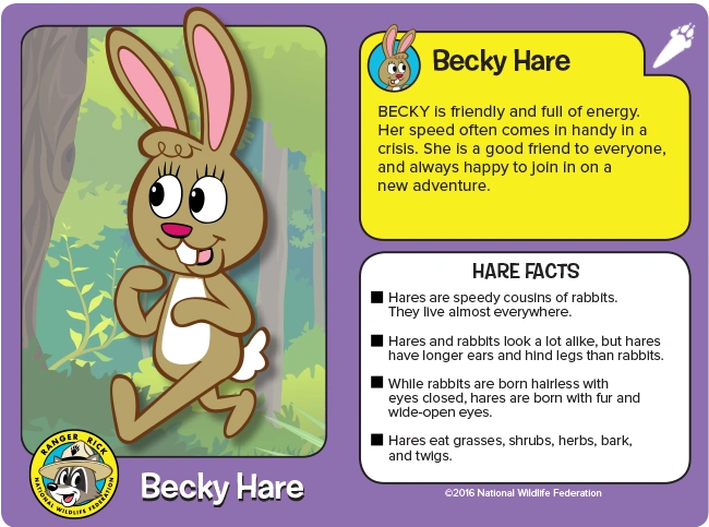 Becky Hare | Ranger Rick Wiki | Fandom