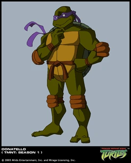 Donatello Splinterson (TMNT 2003) | Rangers Crossover Wiki | Fandom