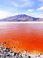 Blood Sea | Flanagan Wiki | Fandom