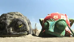 Rock-Eye | Rango Wiki | Fandom