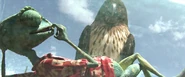 The Hawk | Rango Wiki | Fandom