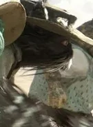 Elgin | Rango Wiki | Fandom