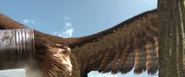 The Hawk | Rango Wiki | Fandom