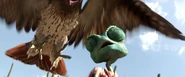 The Hawk | Rango Wiki | Fandom