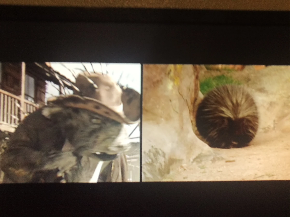 Mister Snuggles | Rango Wiki | Fandom