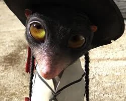 Rango Characters Priscilla