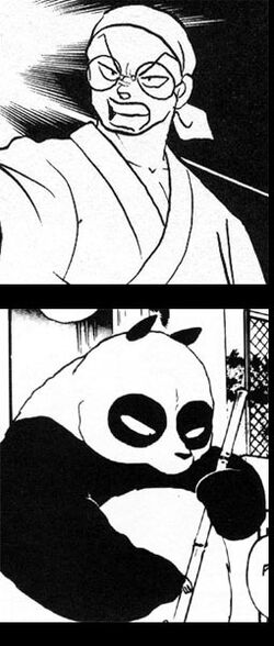 Genma Saotome | Ranma 1/2 Wiki | Fandom