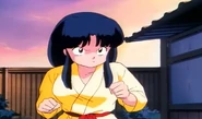 Tendo Dojo | Ranma Wiki | Fandom