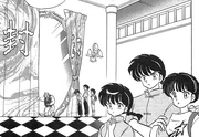 Mirror Mansion | Ranma Wiki | Fandom